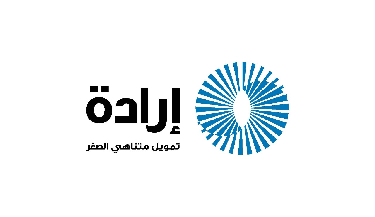 Sovereign Fund of Egypt, Etisalat Egypt launch Erada Microfinance ...