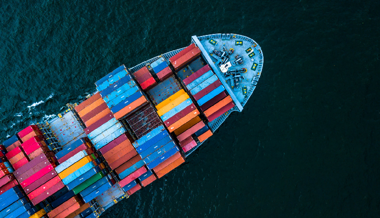 Egypt exports 244K tons of food products in 1 week | Amwal Al Ghad