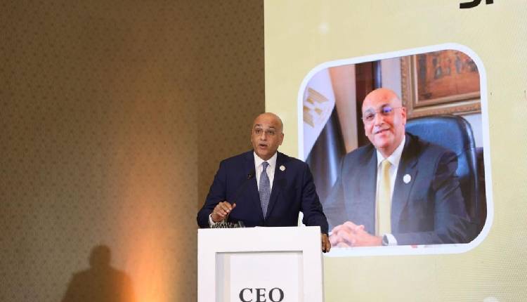 Egypt’s NFSA launches new user-friendly registration portal | Amwal Al Ghad